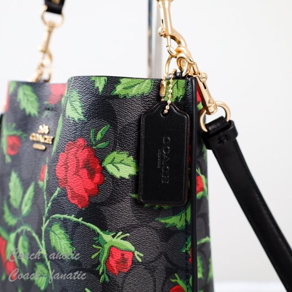 Coach | Bags | Nwt Coach Cc876 Mollie Bucket Bag 22 In Signature Canvas ...